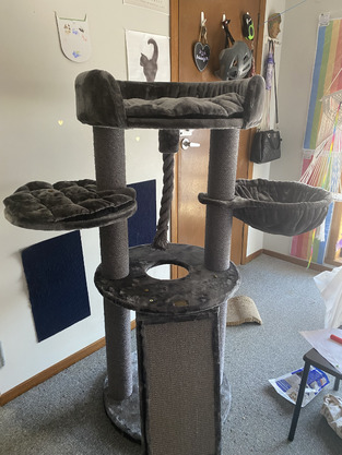 Kazoo 141cm Charcoal 4 Tier Cat Tree | Temple & Webster