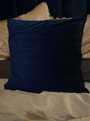 Bianca Vivid Velvet European Pillowcase | Temple & Webster