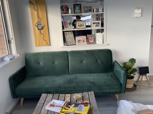 Temple & Webster Chelsea 3 Seater Velvet Sofa Bed