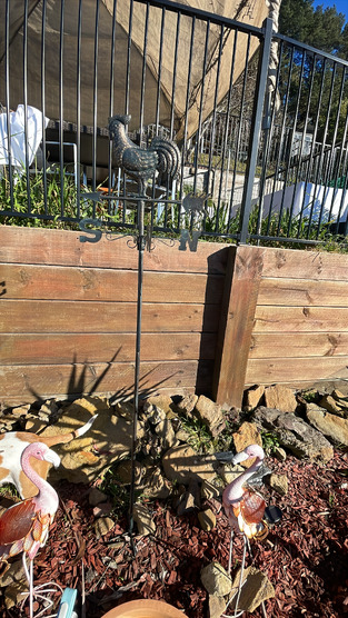 The Complete Garden Channing Rooster Steel Weather Vane | Temple & Webster