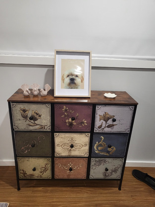 Oakleigh Home Danai 9 Drawer Chest | Temple & Webster