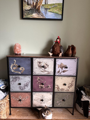 Oakleigh Home Danai 9 Drawer Chest | Temple & Webster