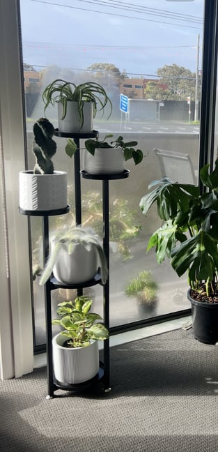 Oakleigh Home Triangular 5 Tier Steel Pot Plant Stand | Temple & Webster